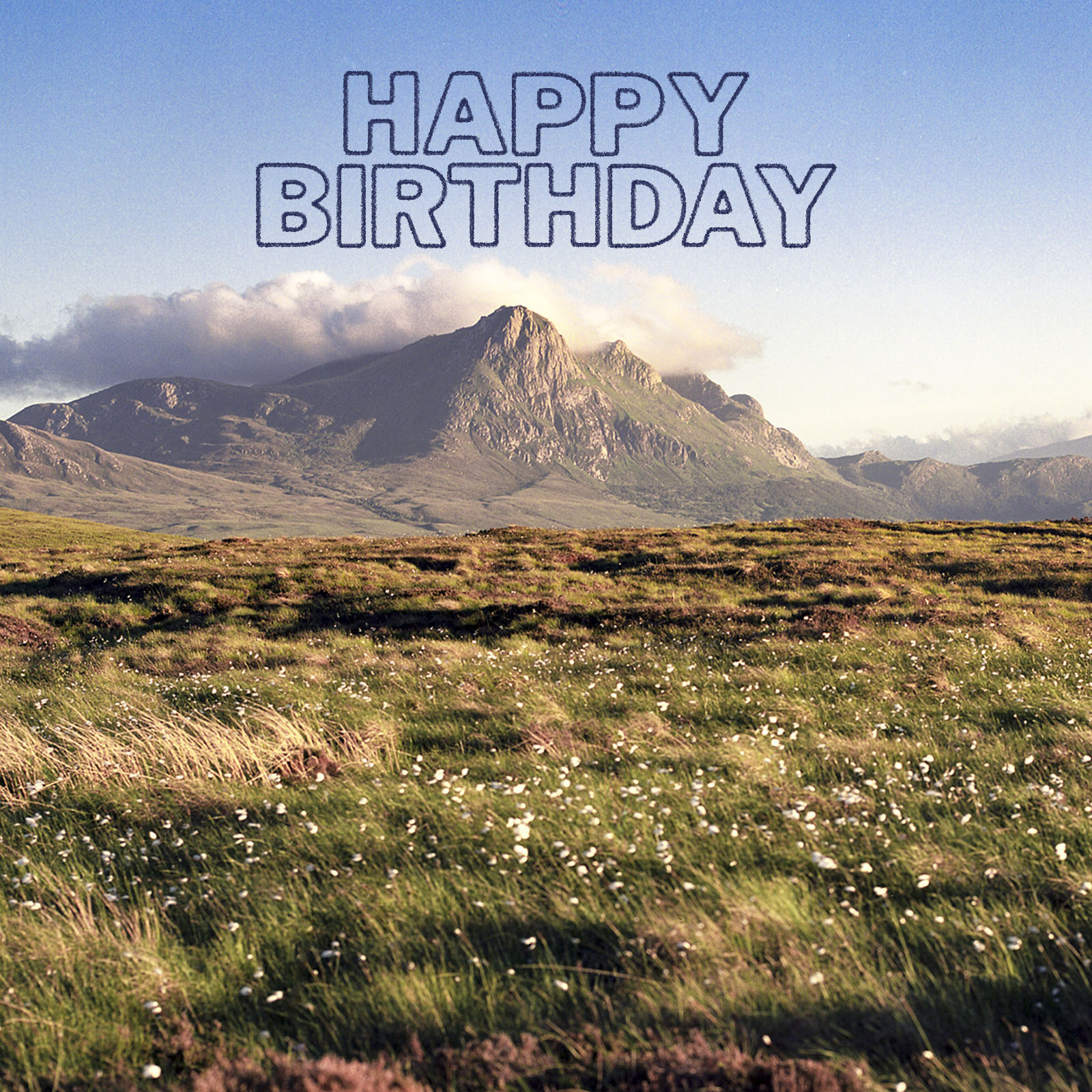 Highland Birthday | EcoGifts from Friends of the Earth